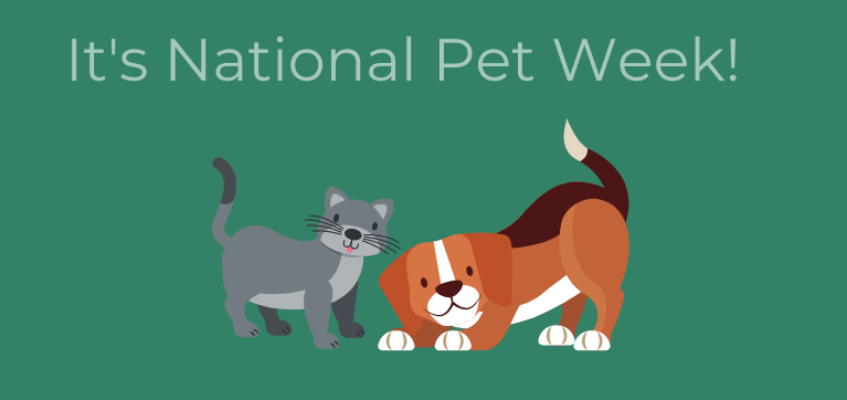 Celebrating National Pet Week! Tips to keep your dogs and cats safe ...