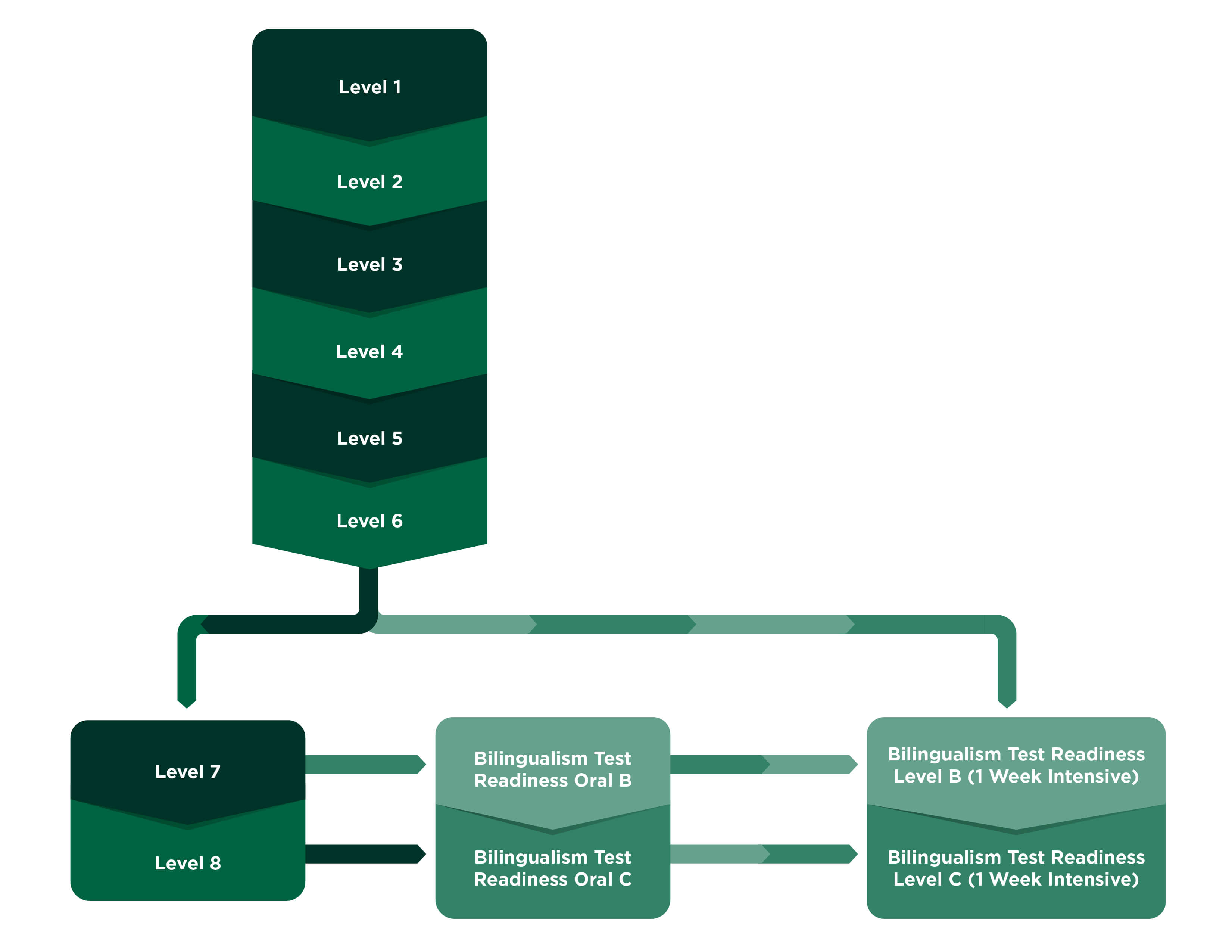 French Diagram v4 RGB - Language Testing