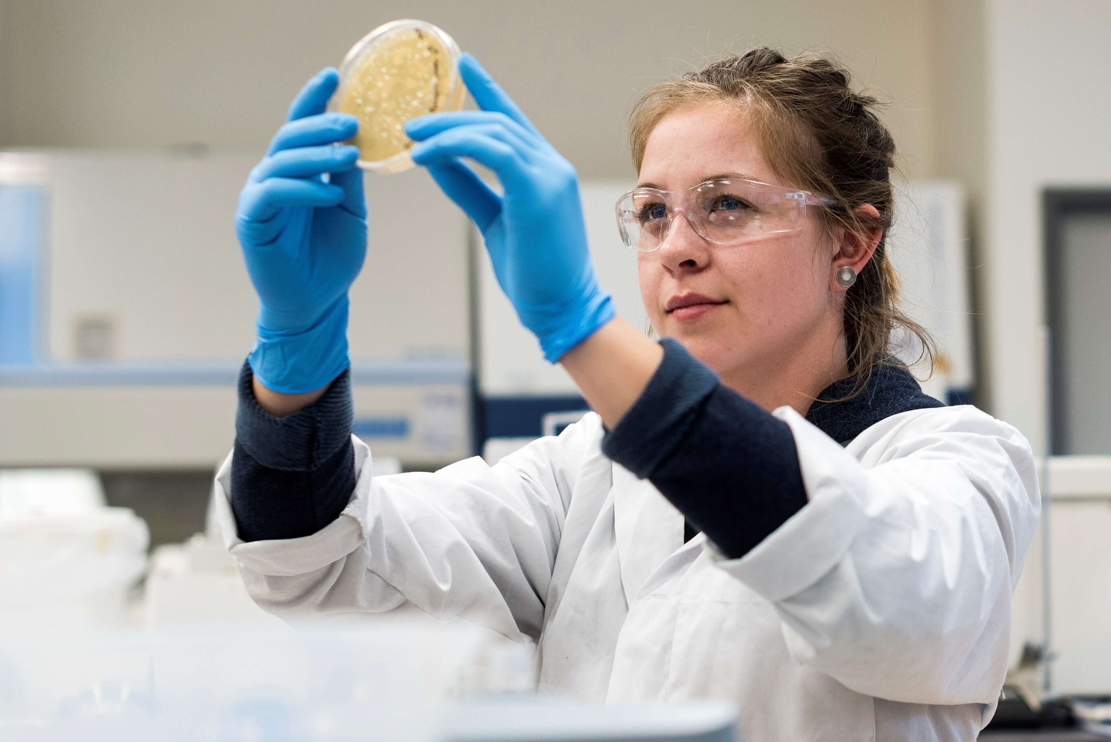 Science and Technology Foundations - School of Advanced Technology