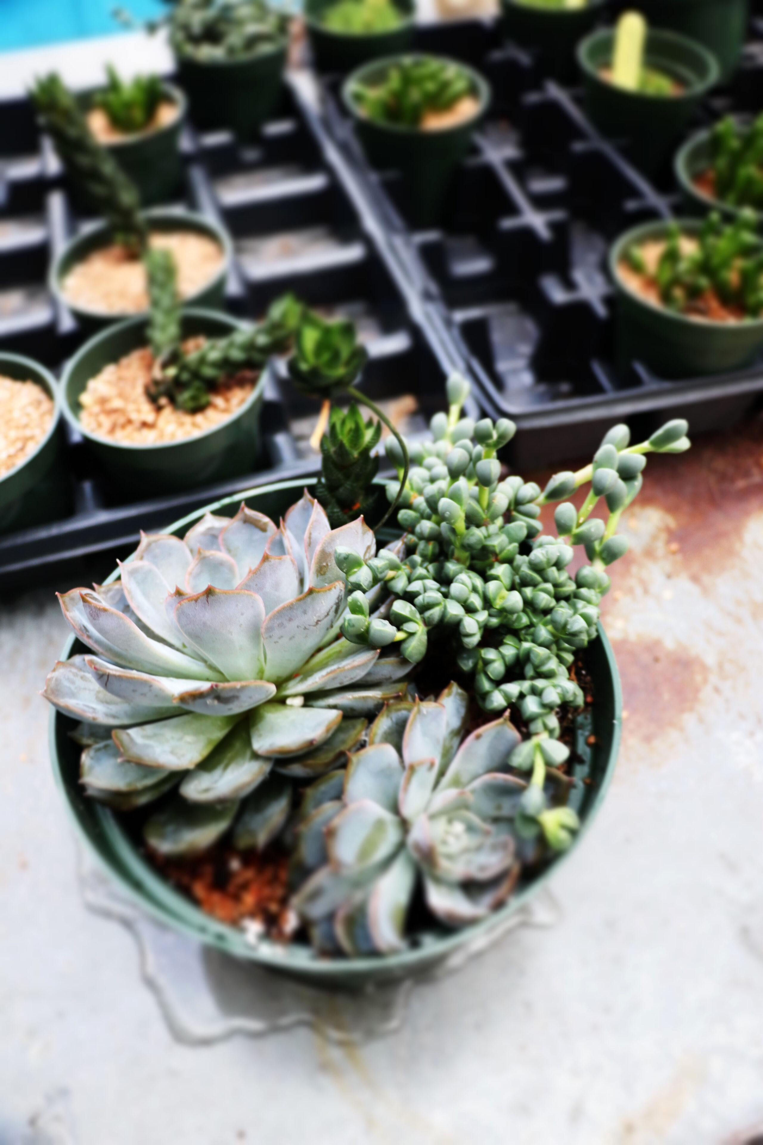Breathe, Create, and Connect: A Wellness Workshop | Student Support ...