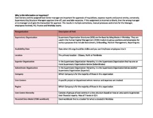 Supervisory Org Structure Definitions - Workday Support